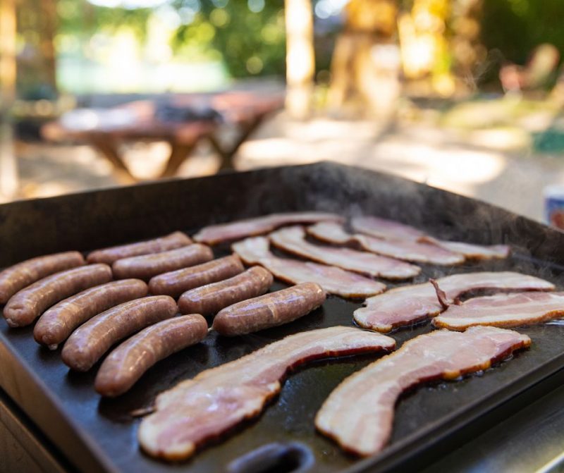 5 Best Griddles for Camping: Eating Good in the Woods